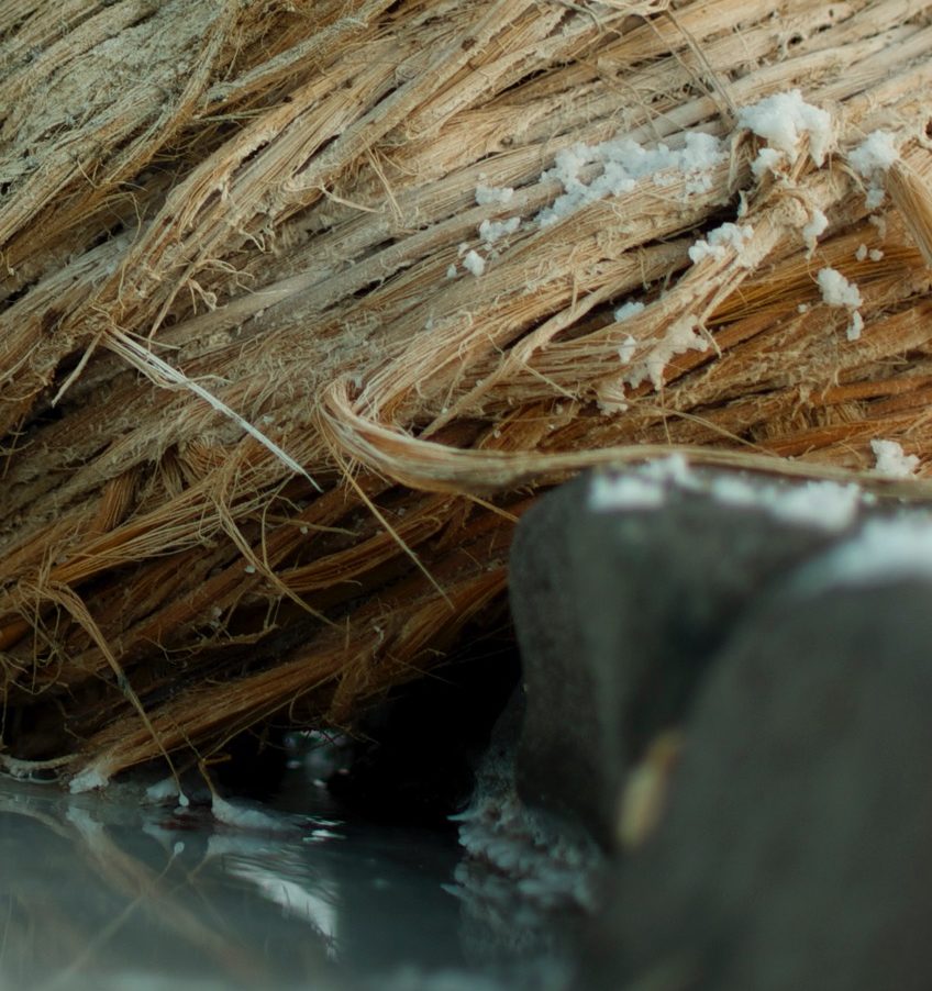 Equitable Ventures – Partnering for a fair and durable future